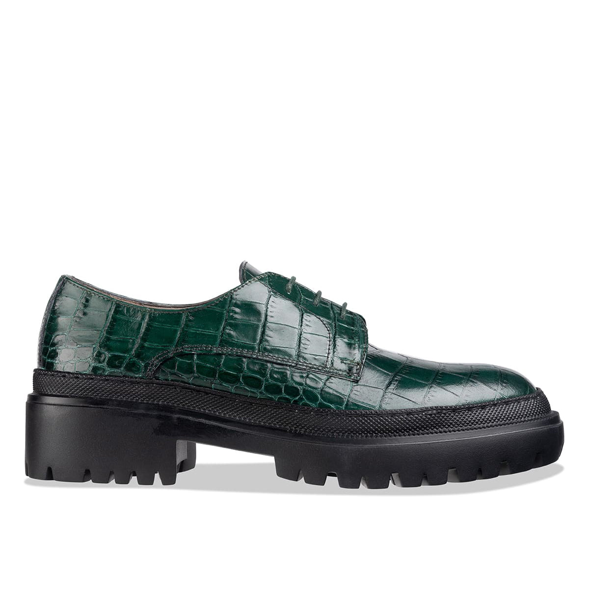 New Arrivals – habbot